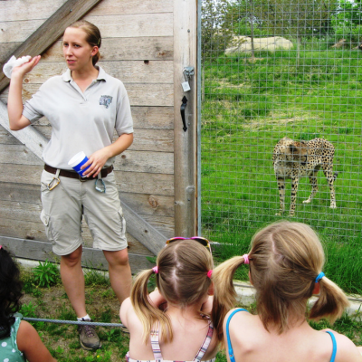 Animal Chats - Indianapolis Zoo