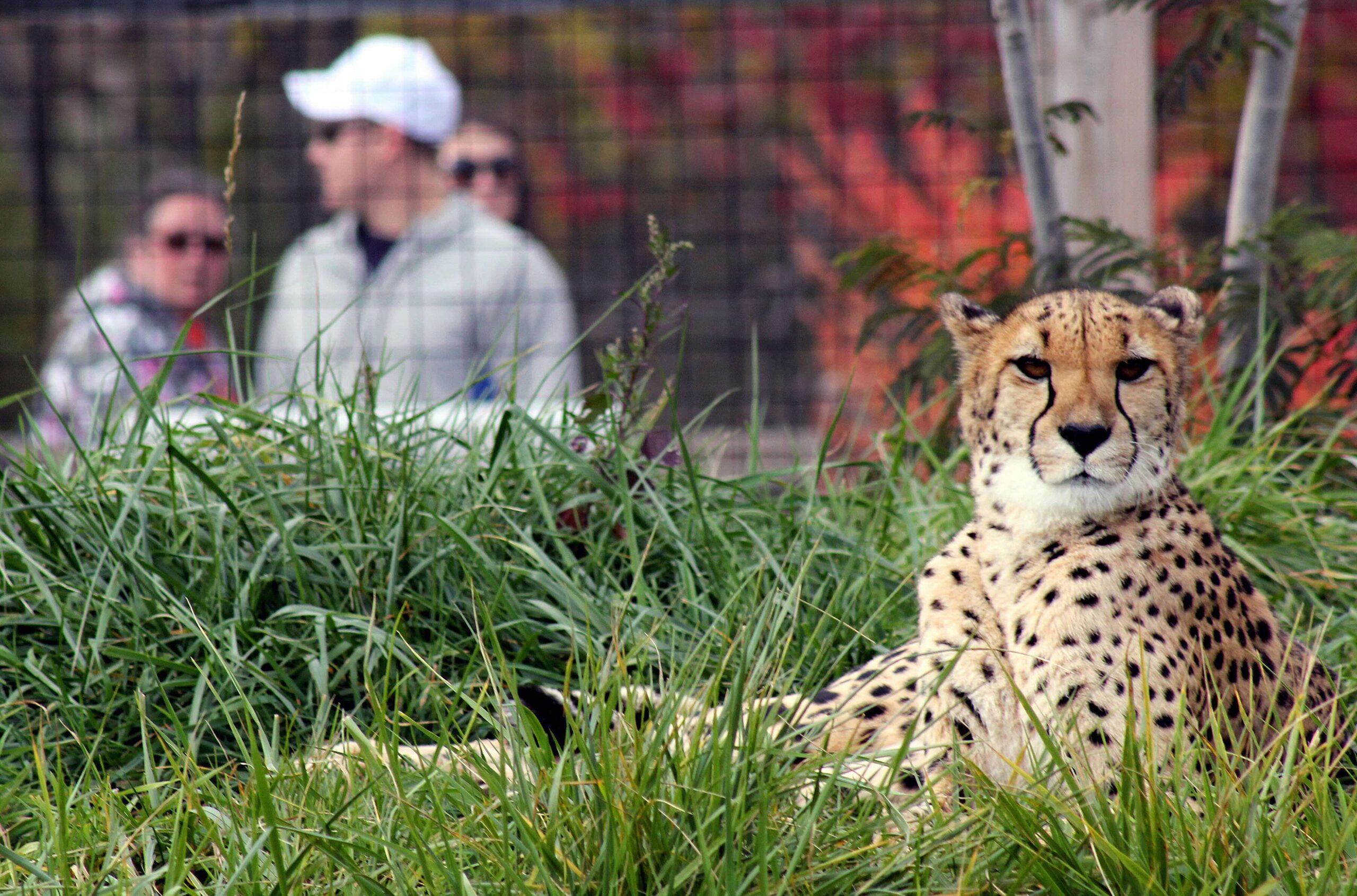 Indianapolis Zoo Achieves Accreditation Through the Association of Zoos ...