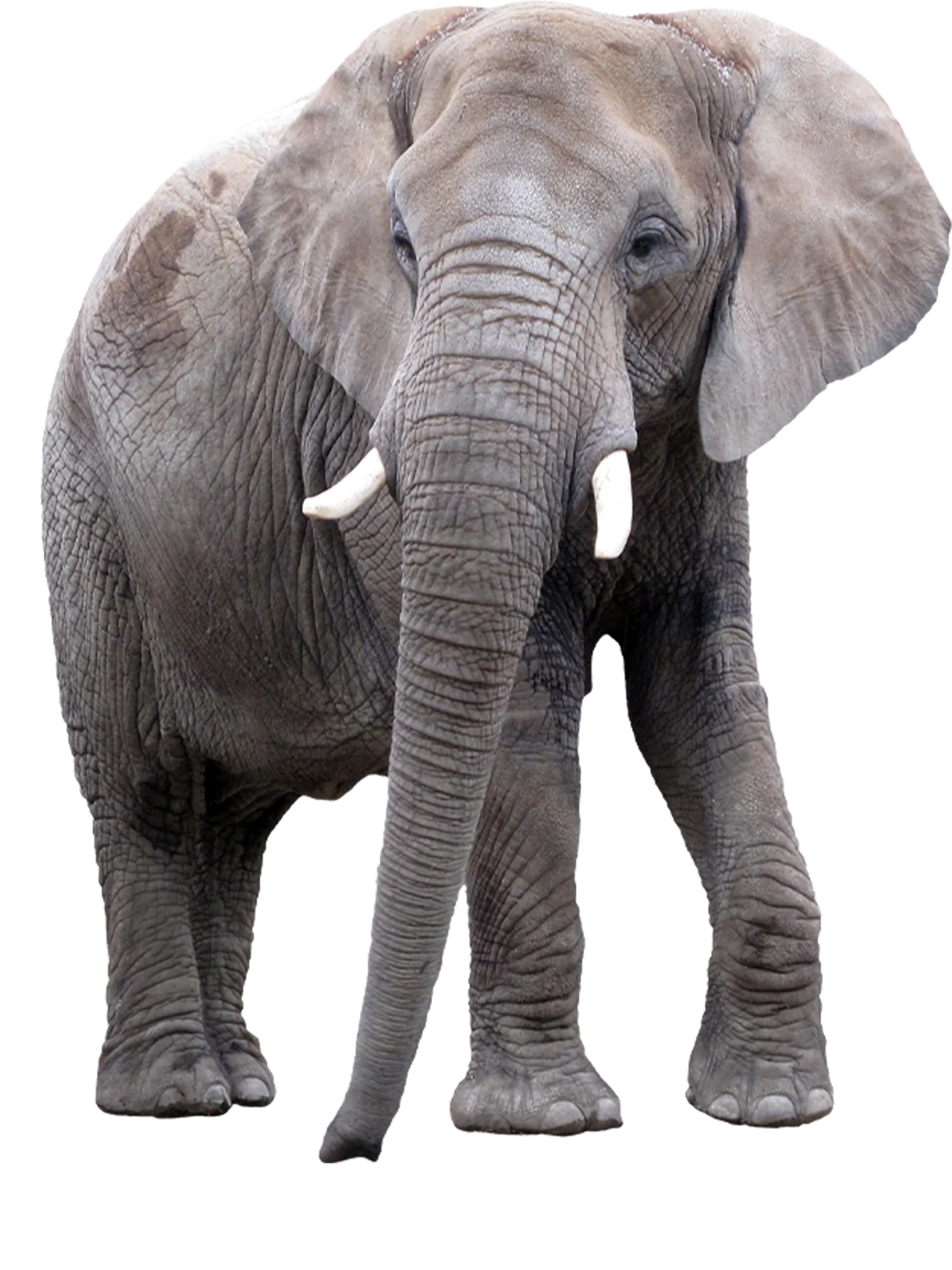 Tickets & Hours - Indianapolis Zoo